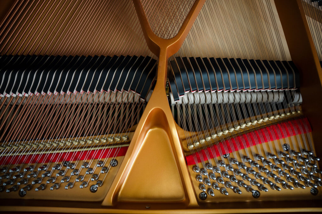 Pearl River GP150 with QRS Pianomation III Player System - Bruce Piano